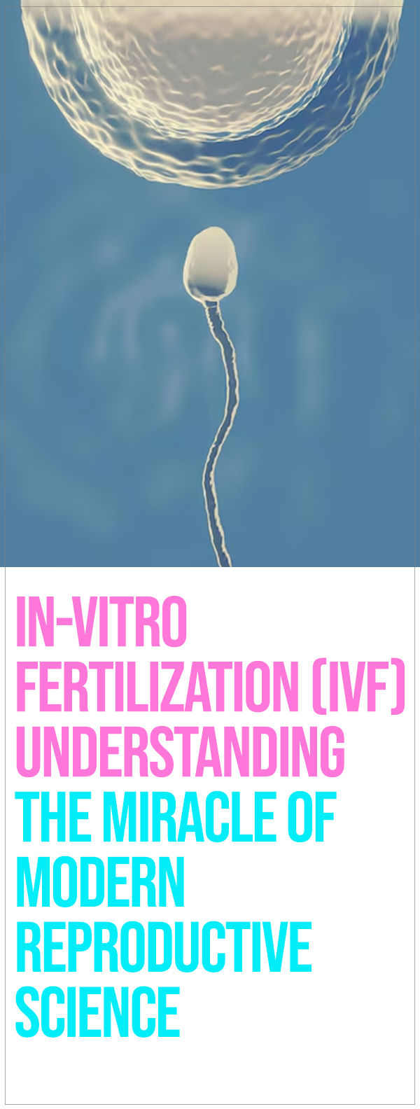 In Vitro Fertilization